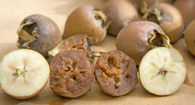 Вкусните мушмули се корисни за здрав крвен систем и за слабеење - IPortal