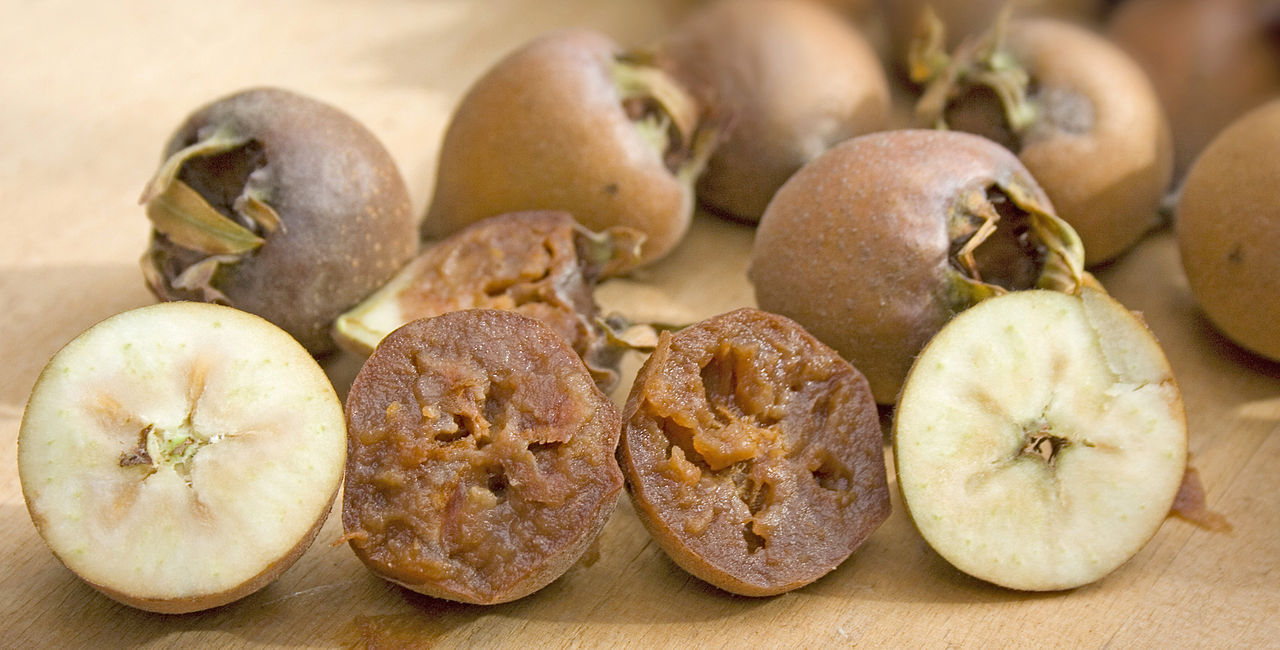 Вкусните мушмули се корисни за здрав крвен систем и за слабеење - IPortal