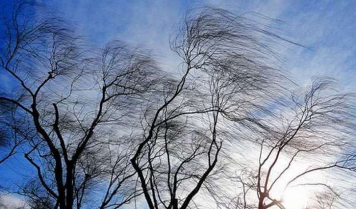 Денеска ветровито, од ноќва поројни дождови - IPortal