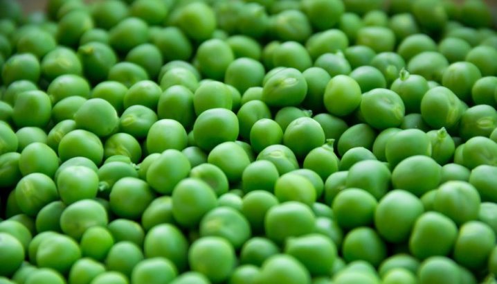 Еве зошто треба почесто да консумирате грашок - IPortal