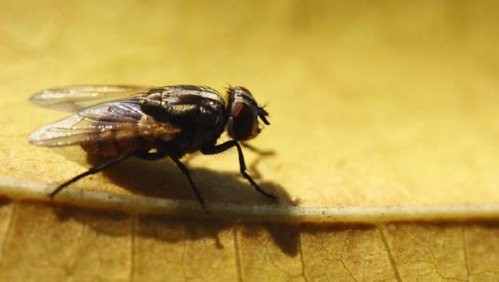 Неколку совети за спас од здодевните муви - IPortal
